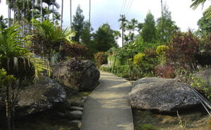 MTDC Ltd. | Meghalaya Tourism Official Accommodations